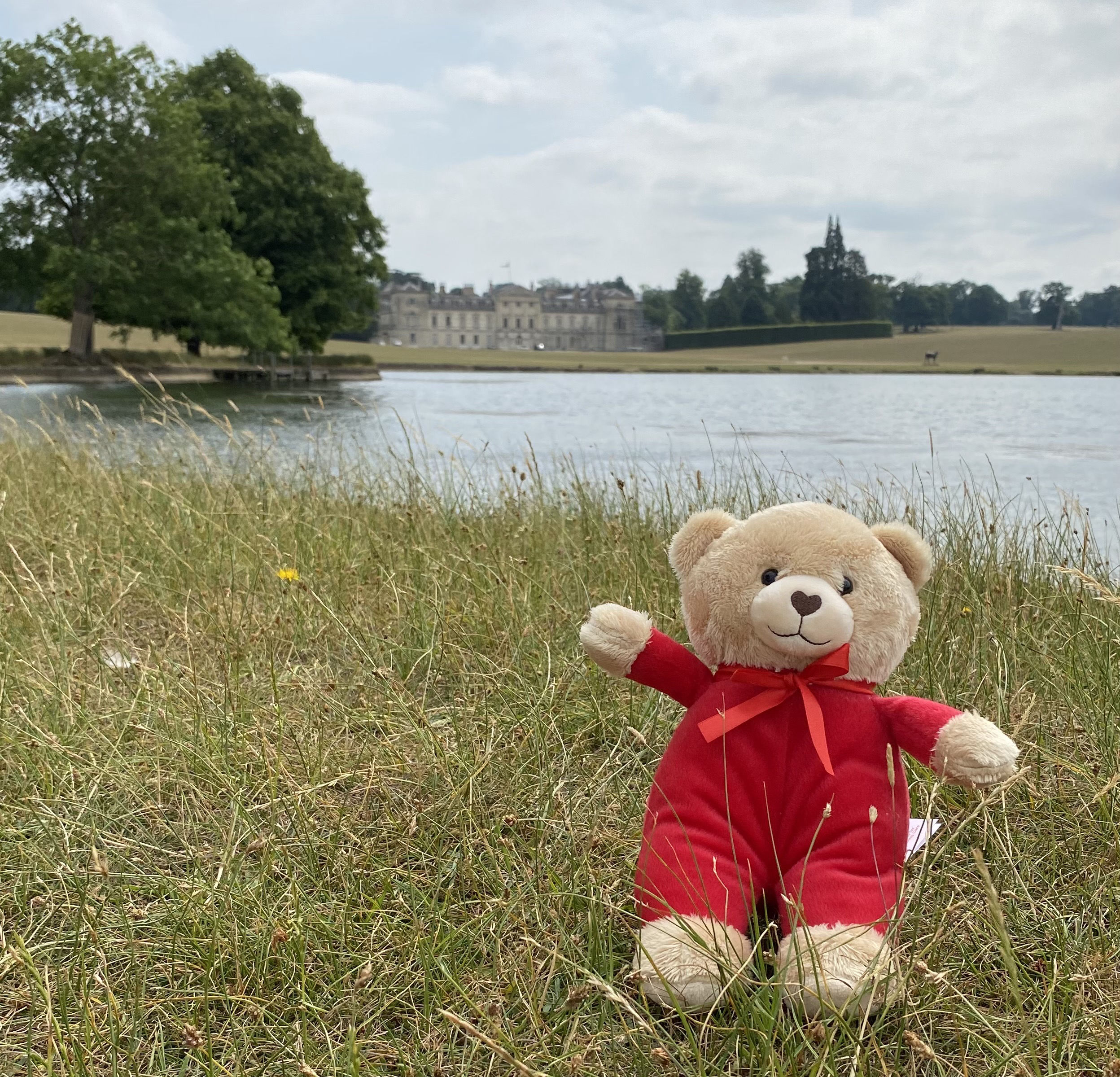 30000th TLC Bear