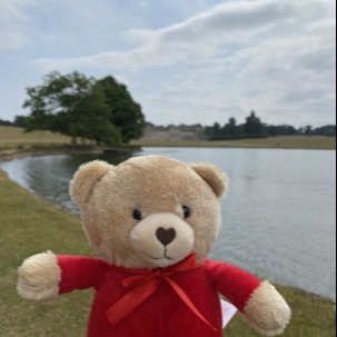 30000th TLC Bear